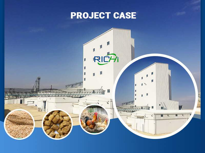 Project Cases - Organic Fertilizer Production Project - RICHI Machinery